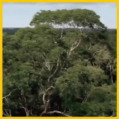 Video Suhas Jadhav Posted On Linkedin