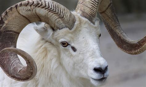 Looking Forward To Linux Network Configuration In The Initial Ramdisk