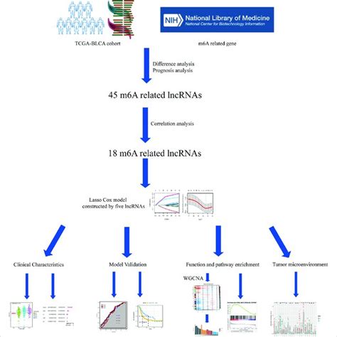 Correlation Between Rss And Clinicopathological Features Analysis Of