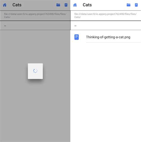 Ionic File System Plugin App