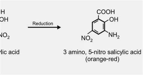BIOLOGY WRITE UP BIOLOGY ARTICLES Estimation Of Reducing Sugar By DNS Method Principle