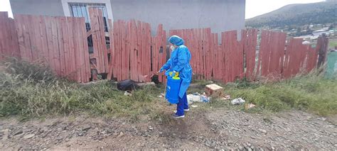 Мал амьтны гоц халдварт болон тарваган тахал өвчний халдвараас урьдчилан сэргийлэх хяналт