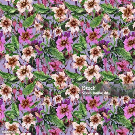 아름 다운 Stro팬텀 따라서 꽃 라일락 배경에 나뭇가지를 등반에 완벽 한 꽃 패턴입니다 수채화 그림입니다 손으로 그린 식물 그림입니다 개화기에 대한 스톡 벡터 아트 및