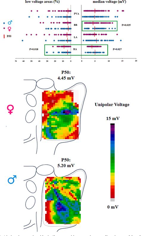 Figure 2 From How Sex Affects The Sinus Rhythm Heartbeat Semantic Scholar