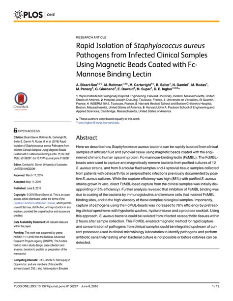 Pdf Rapid Isolation Of Staphylococcus Aureus Pathogens From Infected