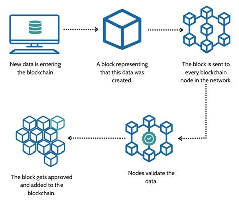 Nœuds Blockchain Expliqués Types Rôles Et Tendances 2025