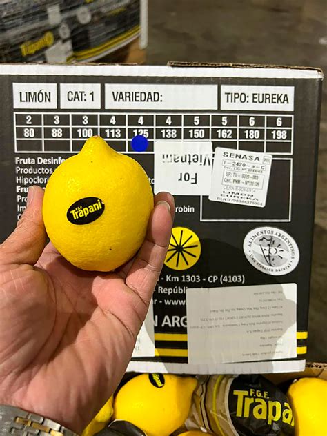 La Argentina concretó la primera exportación de limones con destino a Vietnam Infobae
