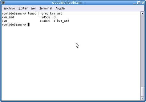 El Rincón Del Software Instalación Y Configuración De Kvm En Debian