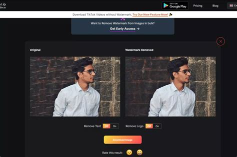 Remove The Watermark In An Easy Way