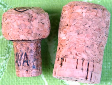 Winecatalonia Is Cava A Catalan Wine