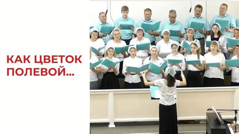 Как цветок полевой Youtube