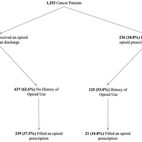 Flowchart Of Opioid Consumption According To Cancer Patients Receipt
