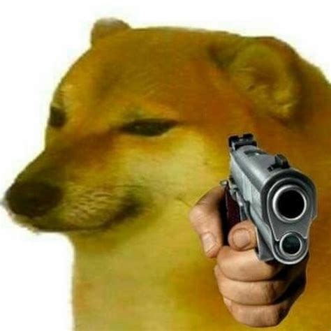 Tổng Hợp 10 Meme Chó Shiba Cheems Hài Hước Tức Giận Bựa đáng Yêu