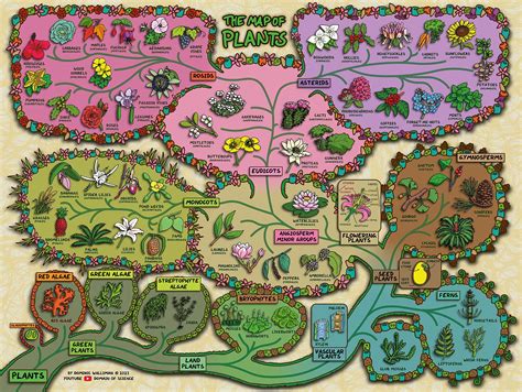 The Map Of Plants [by Dominic Walliman] Album On Imgur