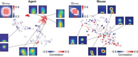 Similarity Seen In Artificial Intelligence And Human Brains Medizzy Journal