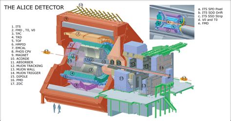 The Alice Detector Download Scientific Diagram