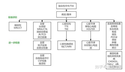 青年卒中的病因分析、诊断思路，这篇文章讲清了！ 知乎