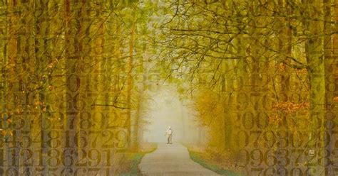 In A Different Key Pbs