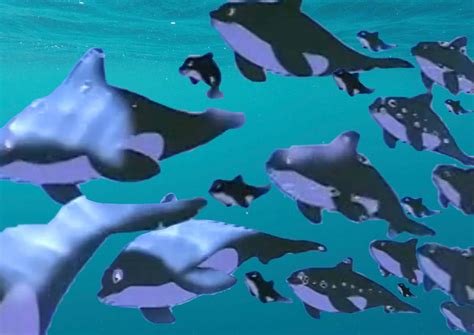 The Great Orca Migration By Rileyopal On Deviantart