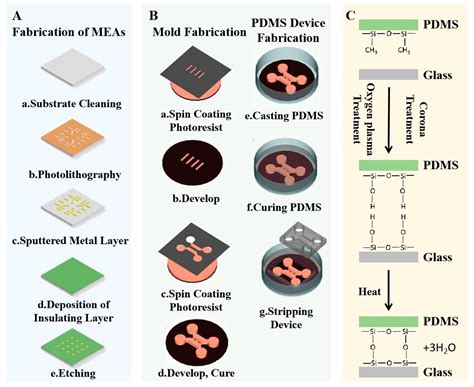 Recent Progress And Perspectives On Neural Chip Platforms Integrating