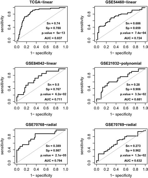 the performance of the tp53 mutation status associated transcriptomic