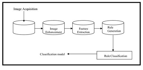 Classification Scheme Download Scientific Diagram