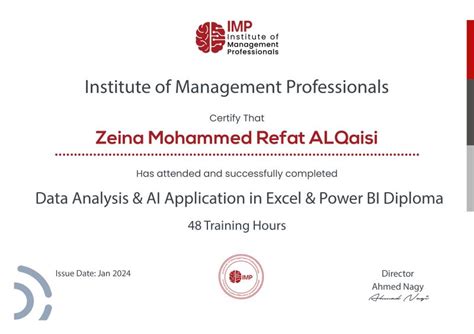 zeina mohammad on linkedin dataanalysis aiapplication excel