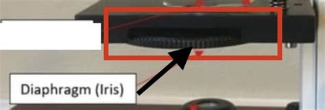 Lab Quiz 3 Flashcards Quizlet