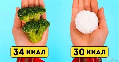 Хоолны дэглэм гэдэг зүйлийг мартахад хүргэх 14 сонирхолтой харьцуулалт