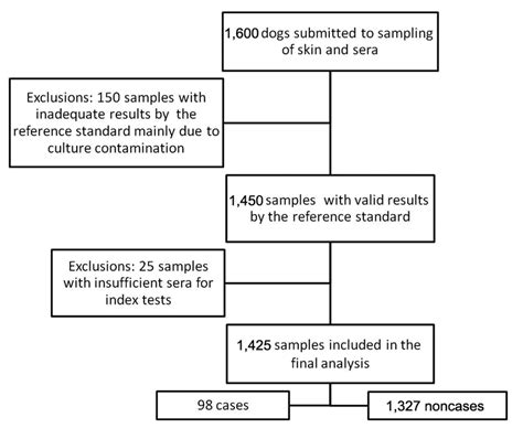 flow diagram of the inclusion procedures algorithm for inclusion and