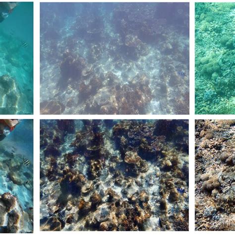 Idehaze On The Uieb Dataset [5] Top Row Hazy Raw Images Bottom Row Download Scientific