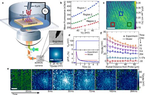 Imaging Microelectrode Charge Injection Dynamics A Schematic Of The Download Scientific
