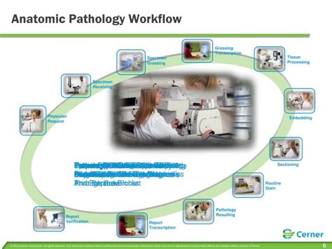 Ppt Pathnet Anatomic Pathology Powerpoint Presentation Id1951881
