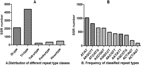 Distribution And Frequency Of Different Types Of Ssr Repeats In G