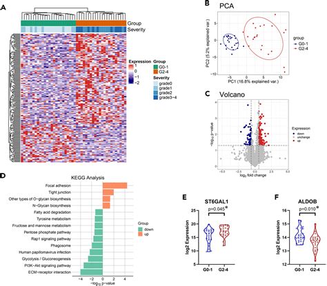 Proteomic And Metabolomic Profiling Of Plasma Predicts Immune Related Adverse Events In Older