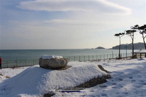 동해바다 일주 고성에서 삼척까지 강원도 동해바다 기록 정리 고성속초양양강릉동해삼척 네이버 블로그