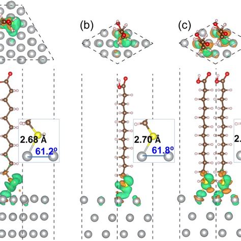 Top And Side View Of Optimized Structures Of Mua Molecule Adsorbed On Download Scientific