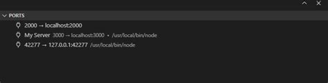 Confusing Ports View Issue Microsoft Vscode GitHub