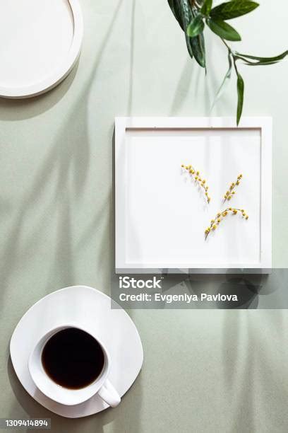 흰색 빈 둥근 사각형 사진 프레임과 녹색 파스텔 배경에 검은 커피의 흰색 컵 로맨틱 한 긴 그림자포스터 모형 프레임에 대한 스톡 사진 및 기타 이미지 Istock