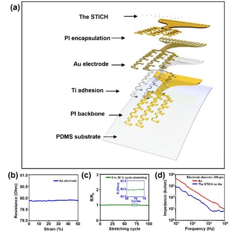 Illustrations Of The Stretchable Surface Electrode Arrays Using The Download Scientific Diagram