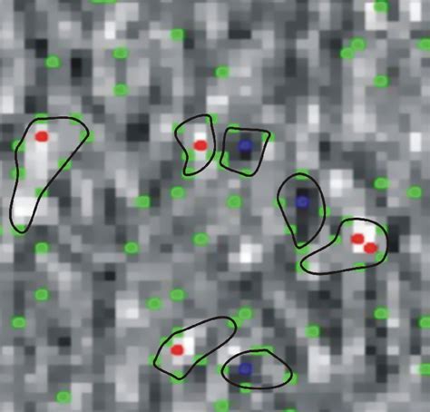 Topological Distributions Of Polarization Singularities − S Contours