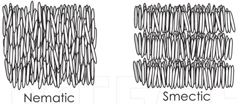 Structures Of The Nematic And Smectic Phases Download Scientific Diagram