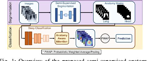 figure 1 from anatomy xnet an anatomy aware convolutional neural