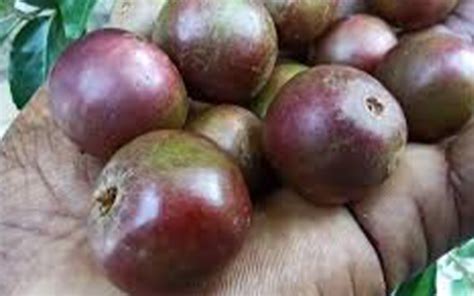 Today News Lk ඩිජිටල් මාධ්‍යකරණයේ නවතම පෙරළිය