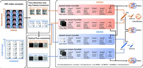 The Framework Of The Dscnn And The Training Process Download Scientific Diagram