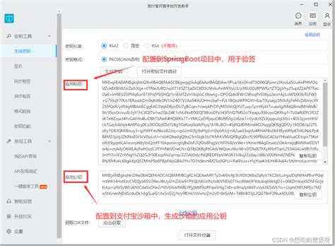 Springboot支付宝支付（沙箱）springboot支付宝沙箱支付 Csdn博客