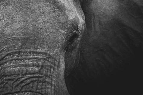 Full Text Search In Milliseconds With Postgresql Rpostgresql