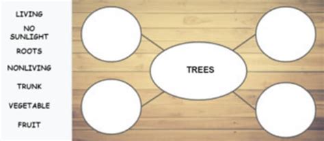 Parts Of A Tree Labeling Activity And Graphic Organizers Earth