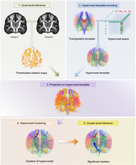 The Tbca Analysis Pipeline After All Images Have Been Normalized To A
