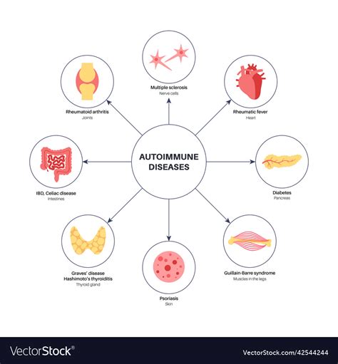 Autoimmune Disorders Diseases Royalty Free Vector Image